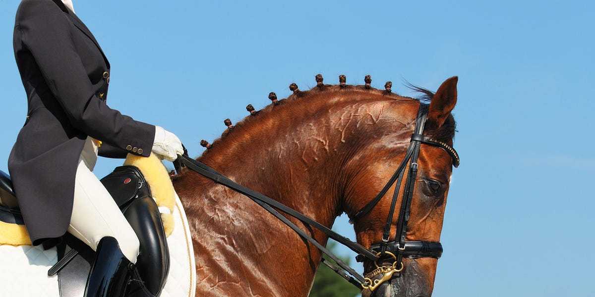 Matching Your Green Saddle Pad to Your Horse’s Coat Color - Mr Equestrian