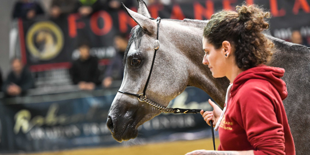 Common Horse Diseases: A Comprehensive Guide to What You Need to Know ...