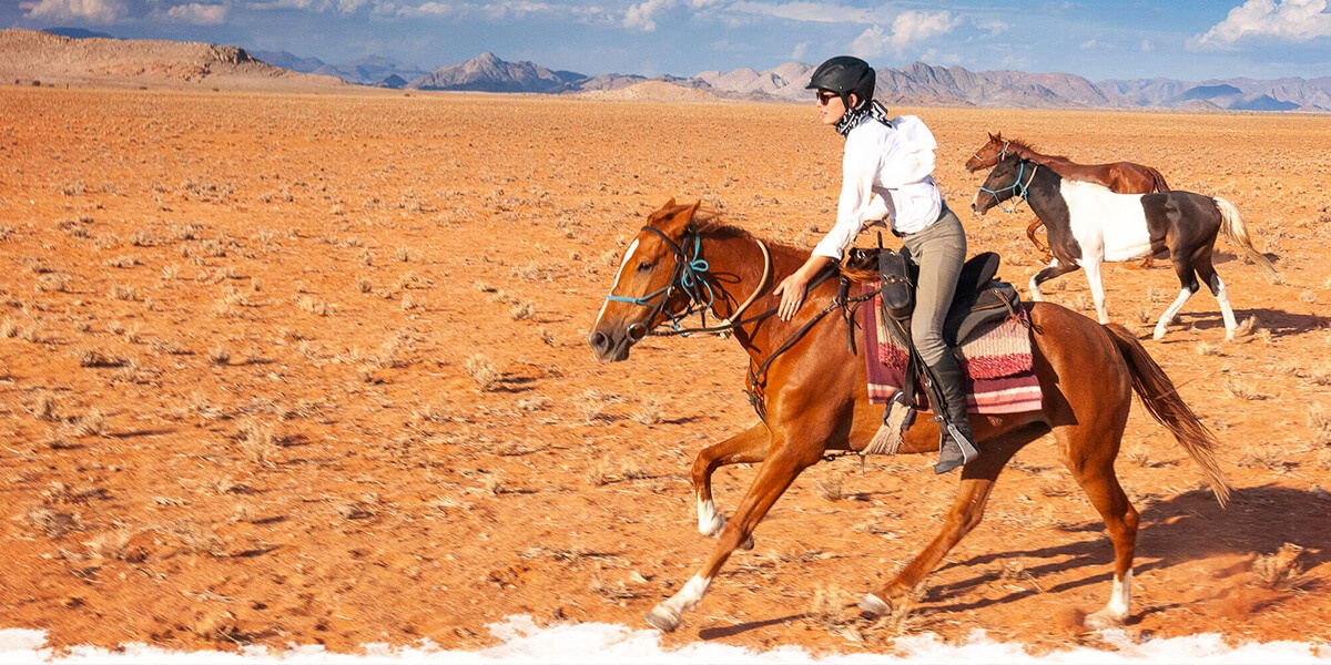 Keeping Your Horse Cool in Summer - Mr Equestrian